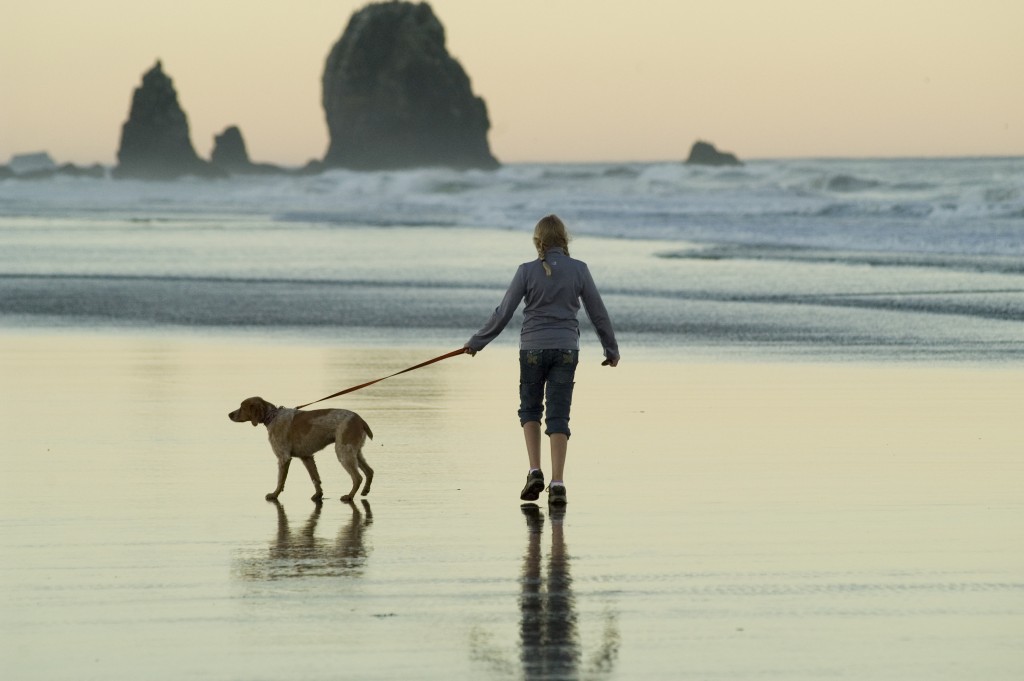 Dog Walkers Urged to Take Care When Walking at the Coast | Tidetimes.co.uk